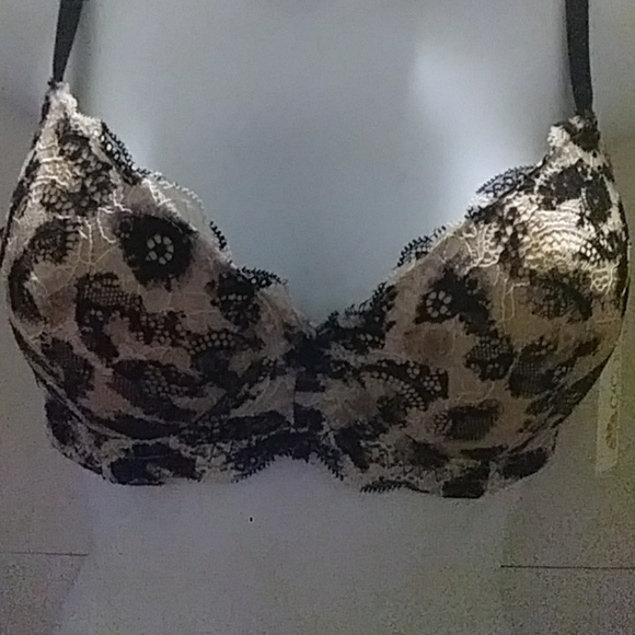 C&C California | Intimates & Sleepwear | Brand New Cc California Bras ...